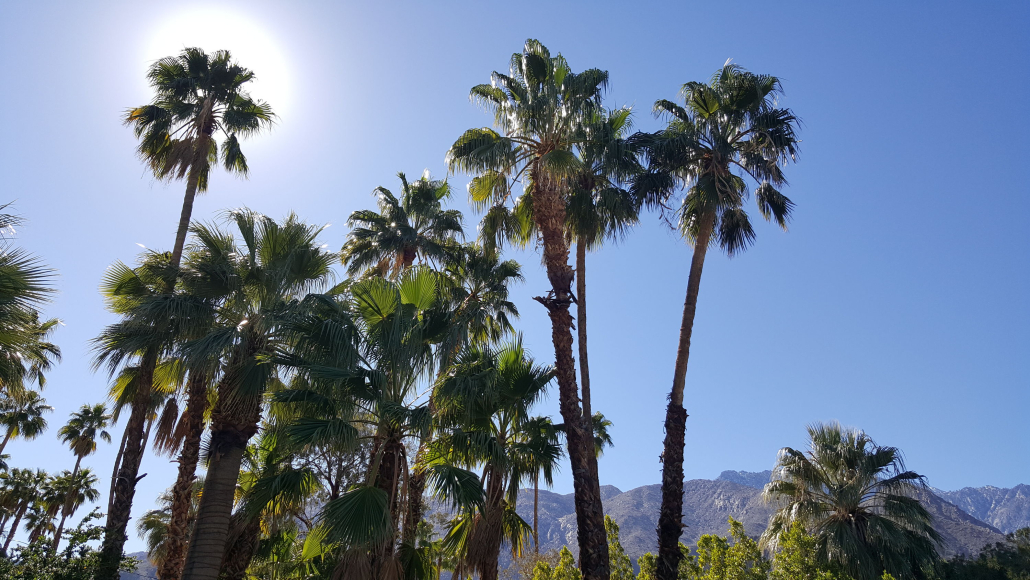 Kick Off Summer In Palm Springs This June | Palm Springs Preferred ...